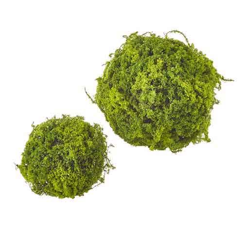 Large Moss Ball – Shoptiques