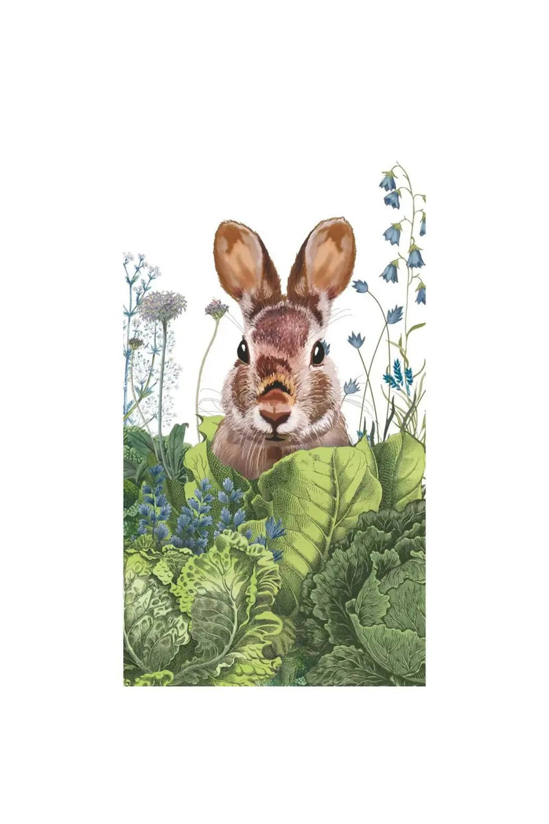 Chou Chou Easter Bunny Hostess Napkins – Shoptiques