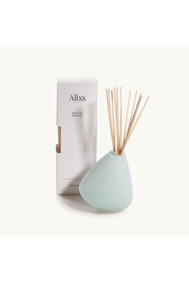 VASE DIFFUSER – Shoptiques